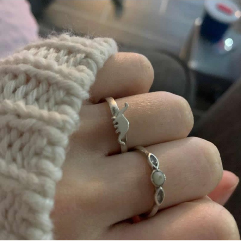 Girlfriend And Boyfriend Matching Dinosaur Rings Couple Promise_MuFree